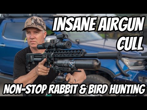 PCP Airgun Rampage! FX Impact M3 in Action | Non-Stop Rabbit & Bird Hunting | PARD Vision Optics