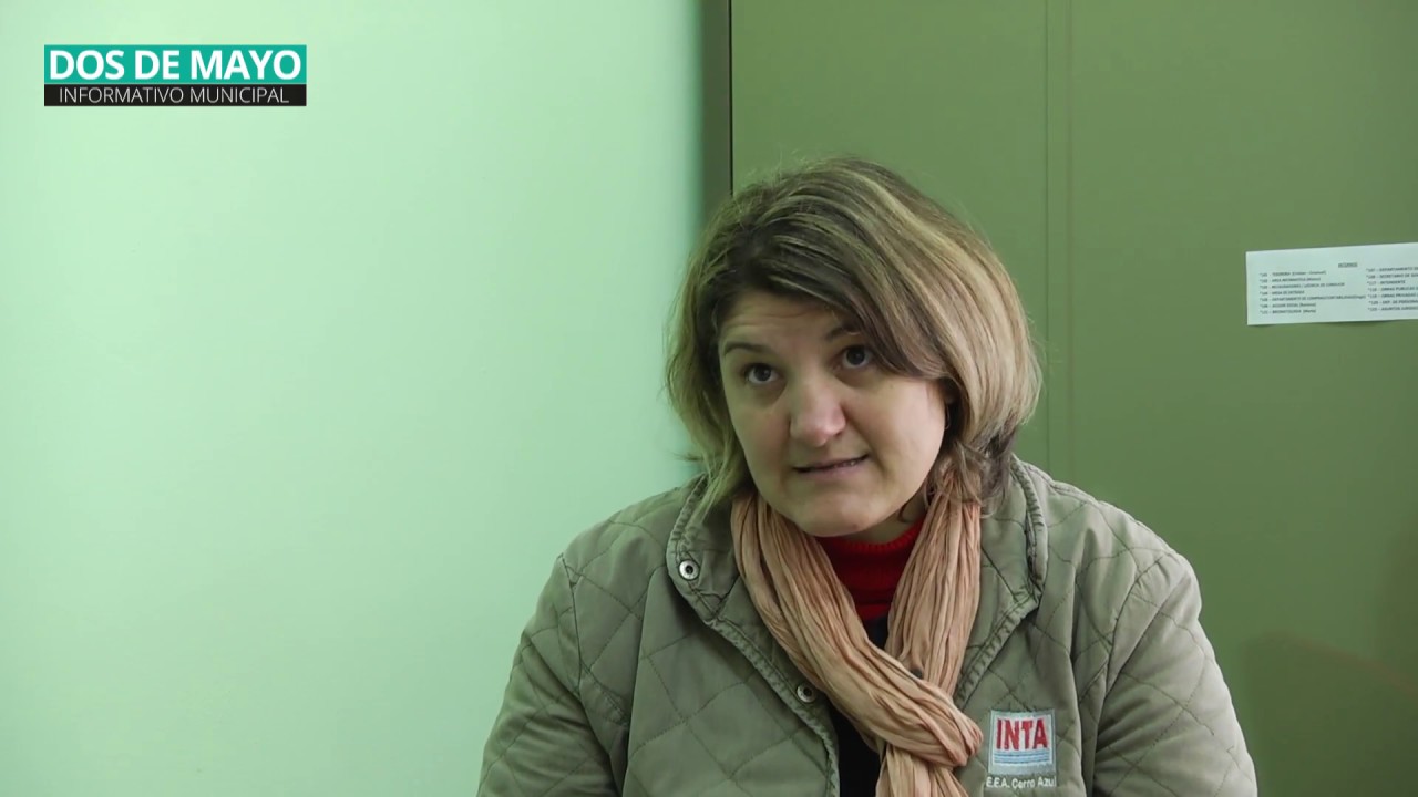 31 - TRIGESIMO PRIMER PROGRAMA - YouTube