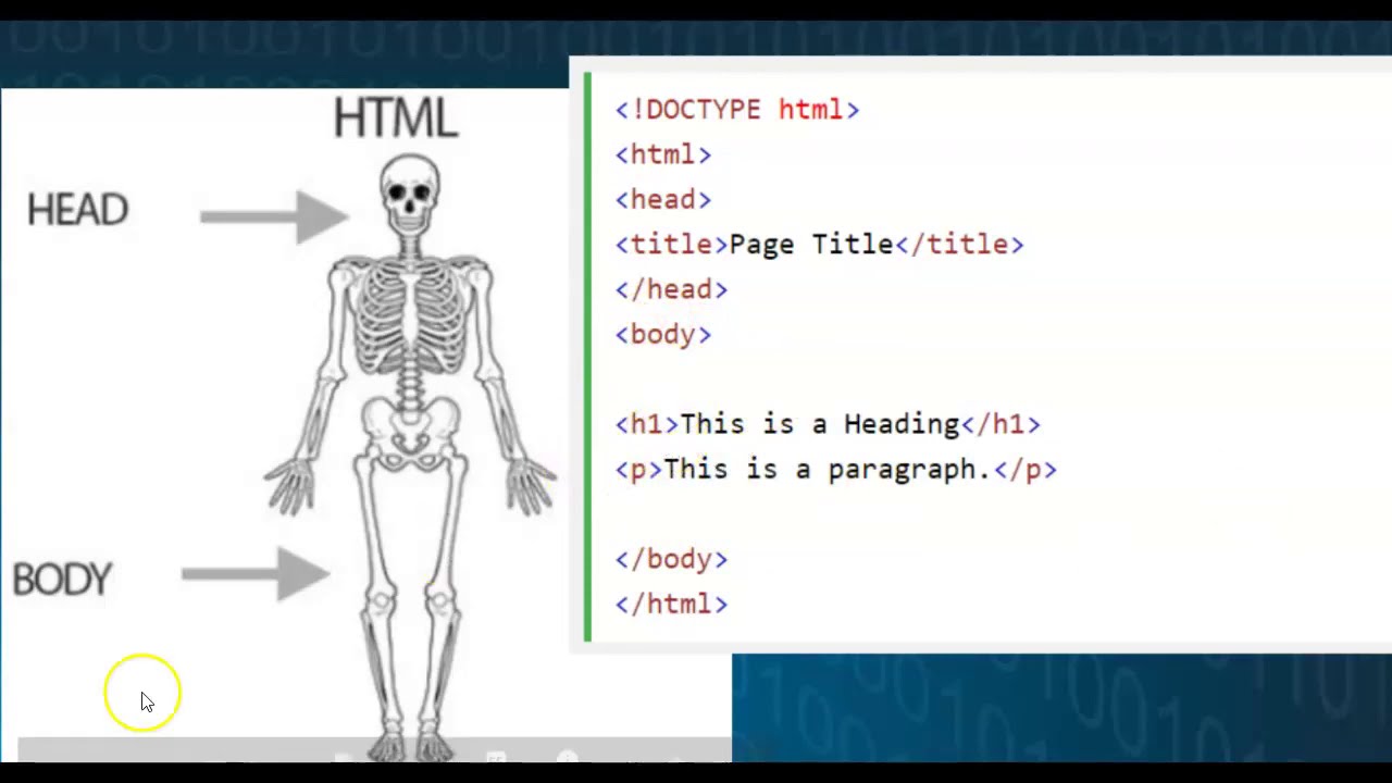 Leçon 3: Comprendre la base du code HTML - YouTube