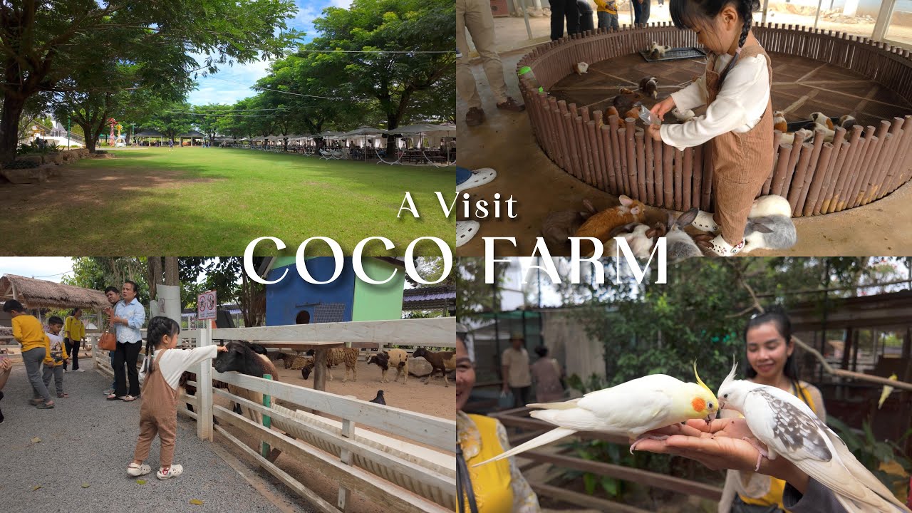 A Day at COCO Farm with my small family | Sacha Vlog - YouTube