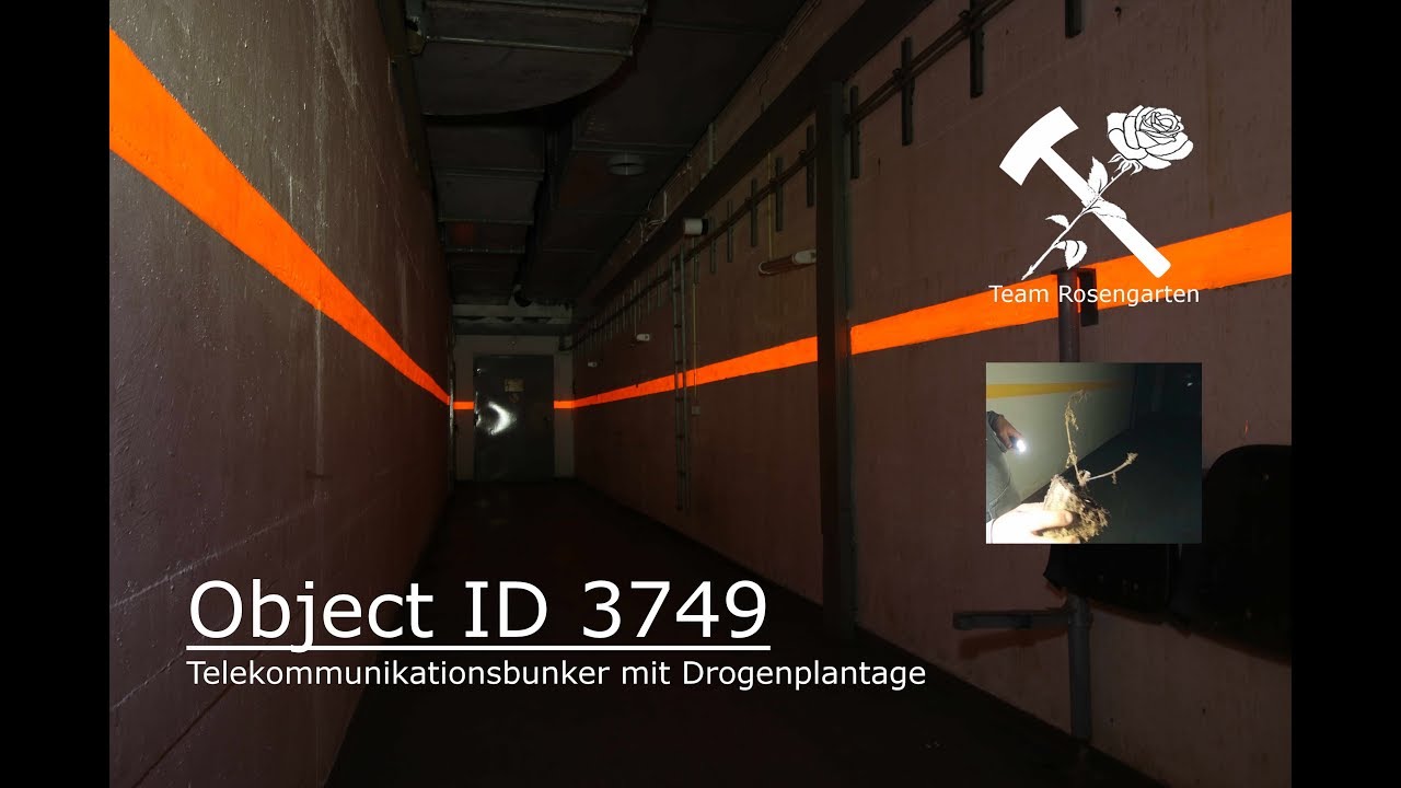 Object ID 3749 - Bunker mit Plantage gefunden... - YouTube