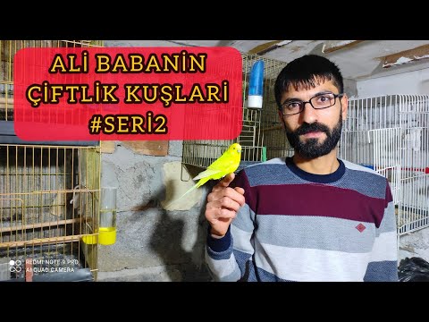ALİ BABA'NİN ÇİFTLİĞİN'DEKİ PAPAĞANLARI ! #SERİ2