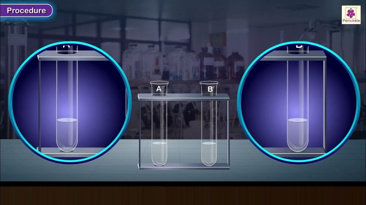 Double Displacement Reaction | Chemistry Experiment | Grade 10 - YouTube