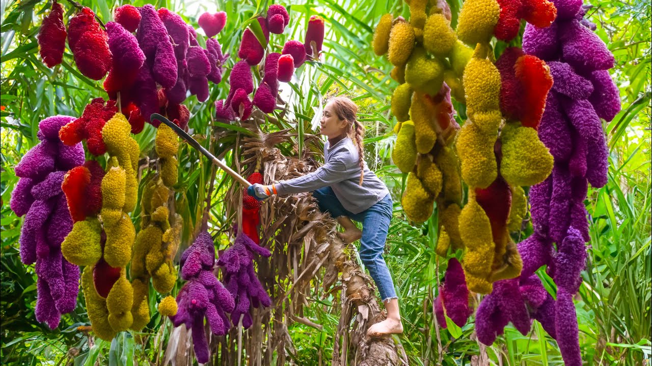 🎄Merry Christmas 🎉 ️ WOMEN Harvesting Wild Tamarind Fruit Go To Market ...