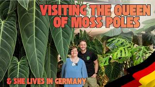 Against All Odds: Achieving a Lush Indoor Jungle in Germany!
