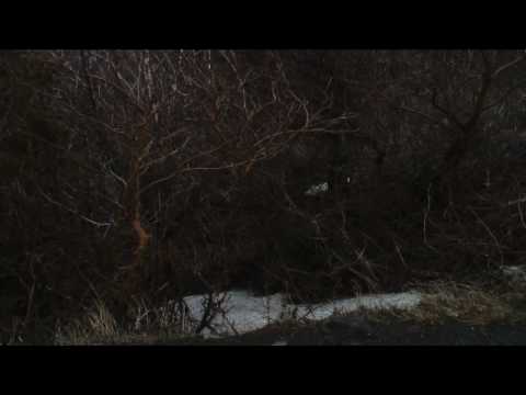 Minimovies - I Love Alaska - Episode 7/13