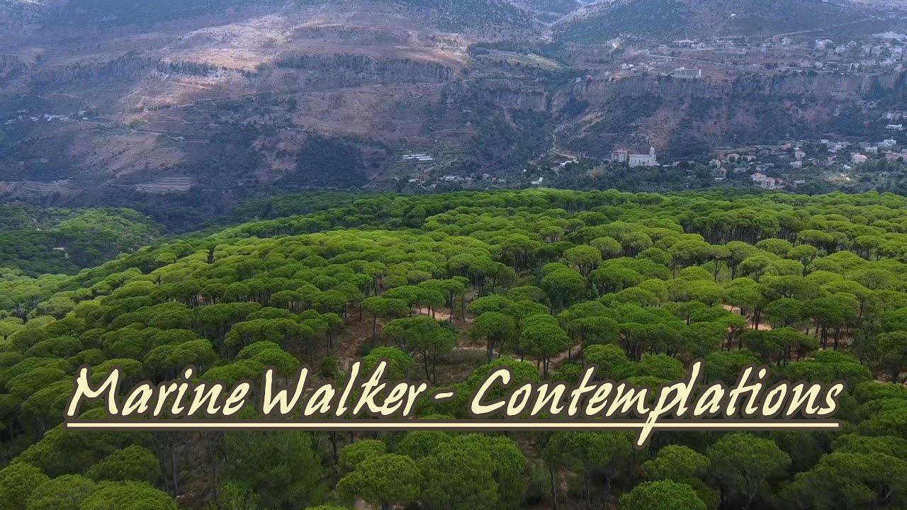 Marine Walker - Contemplations - YouTube