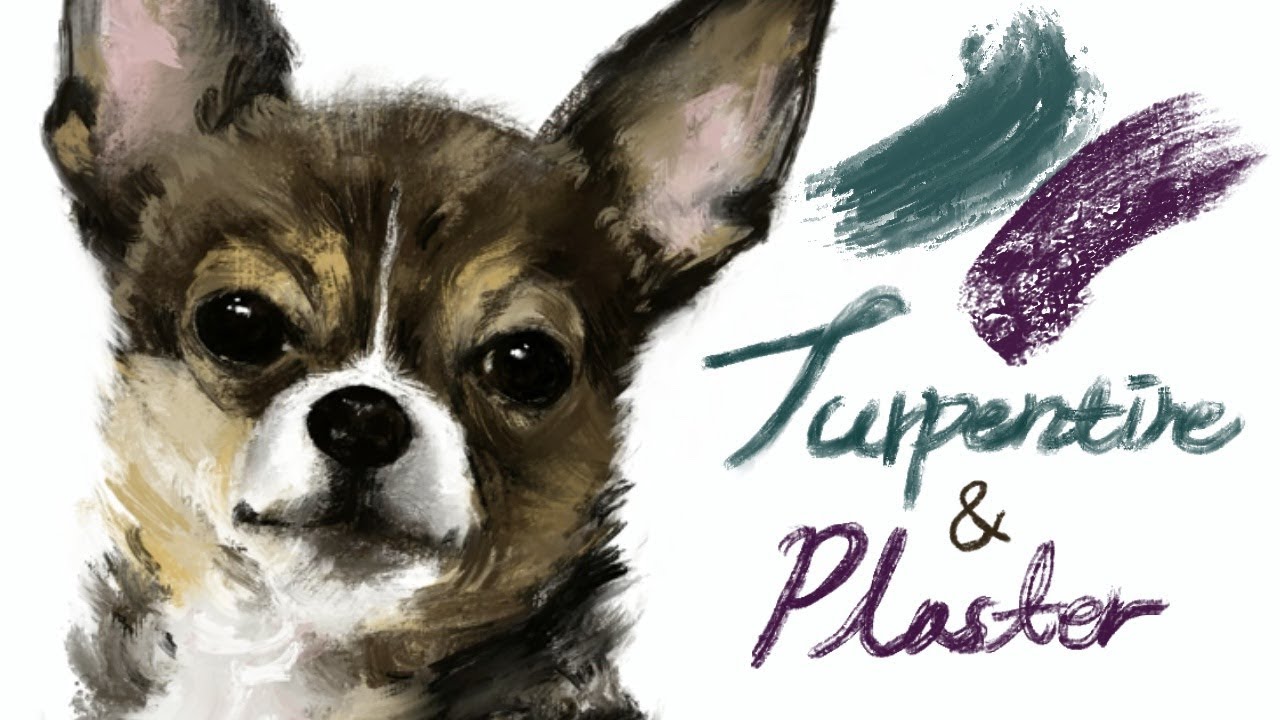 프로크리에이트 테레빈유 & 벽토 브러쉬로 댕댕이🐶 그리기 (IPAD PROCREATE / Turpentine & Plaster ...