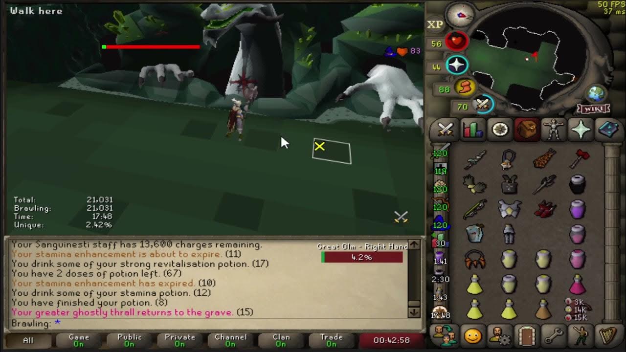 Solo Olm Example - YouTube