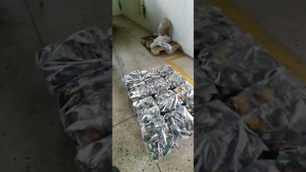 Maquina Empaquetadora Marca MAVENCA , Con Enfardadora para papeleta de ...