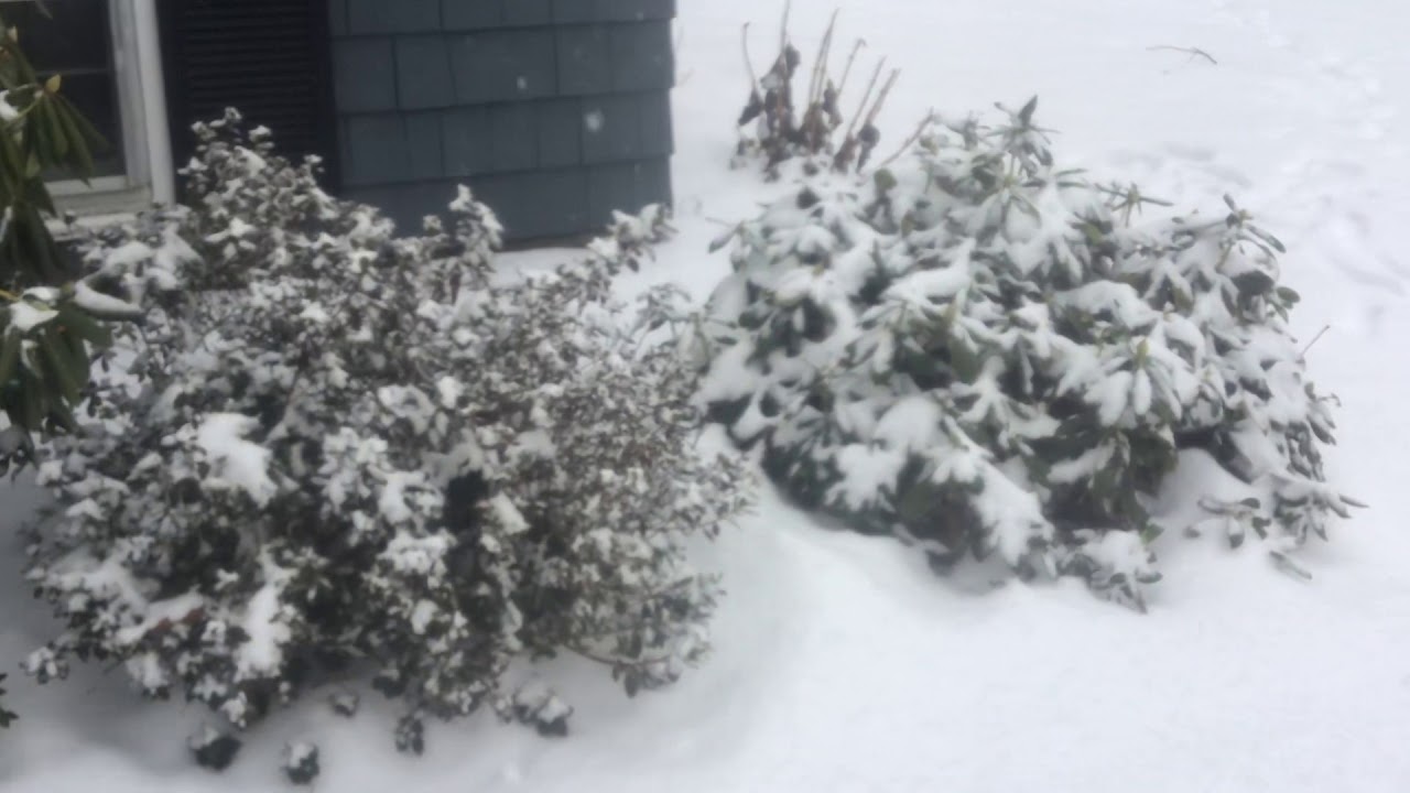 Snow storm on 12/17/2019 USA - YouTube