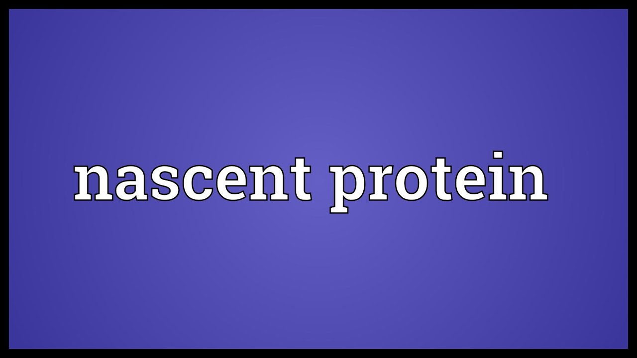Nascent protein Meaning - YouTube