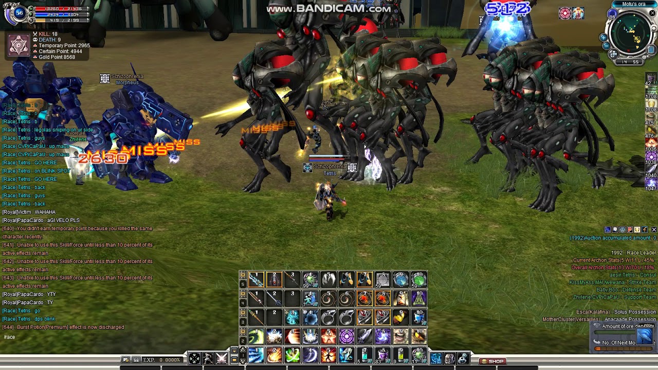 RF Equilibrium PVP ELAN 2018 - YouTube