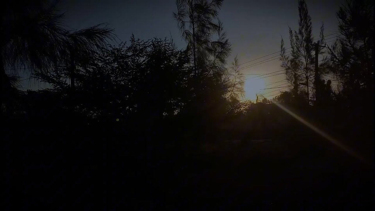 BlackSmith - Study The Beat (Official Video) ft. DJ Premier - YouTube