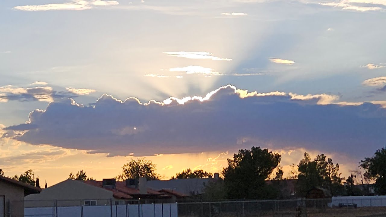 Dank Williams Drive Stream - YouTube