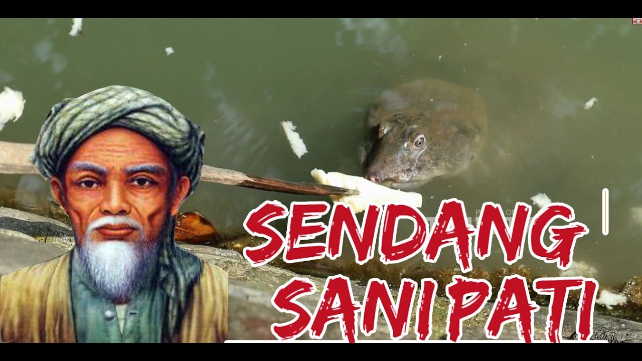Legenda Sendang Sani, Murid Sunan Bonang jadi seekor bulus - Wisata ...