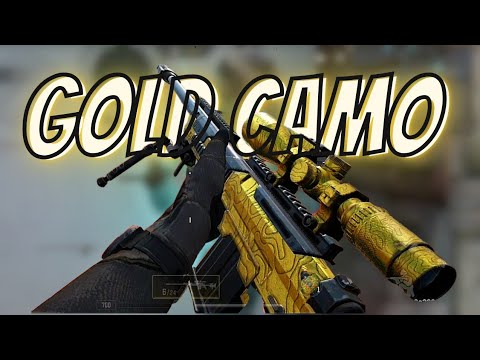 Unlocking The Gold Camo For DL Q33 In Call Of Duty Mobile - YouTube