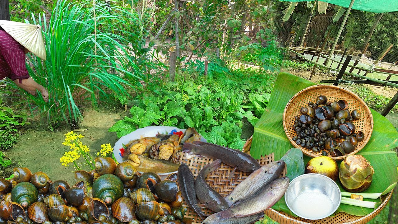 Living in countryside, Cooking village style Healthy soup Snail and ...