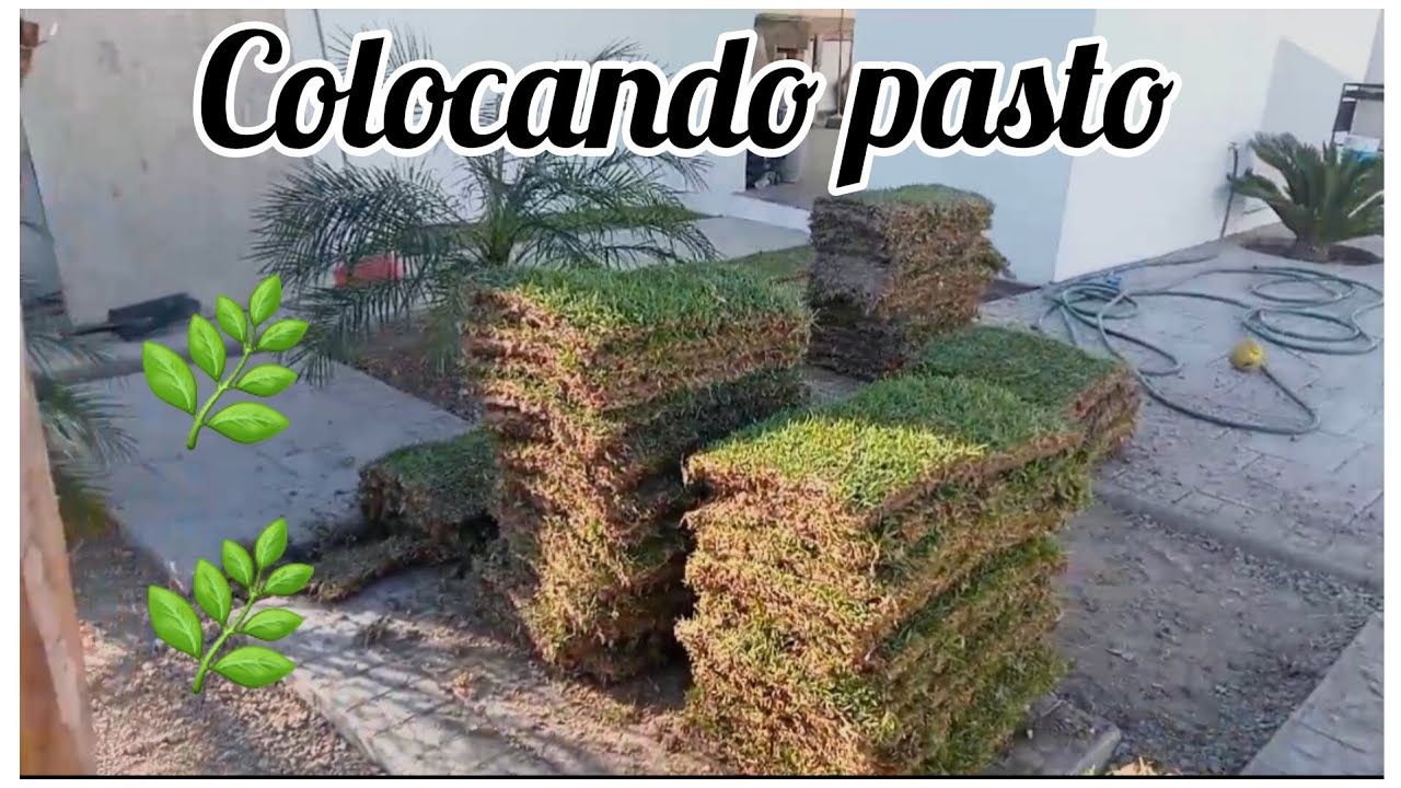 Colocando PASTO en un hermoso jardín ️🏡🌱 - YouTube