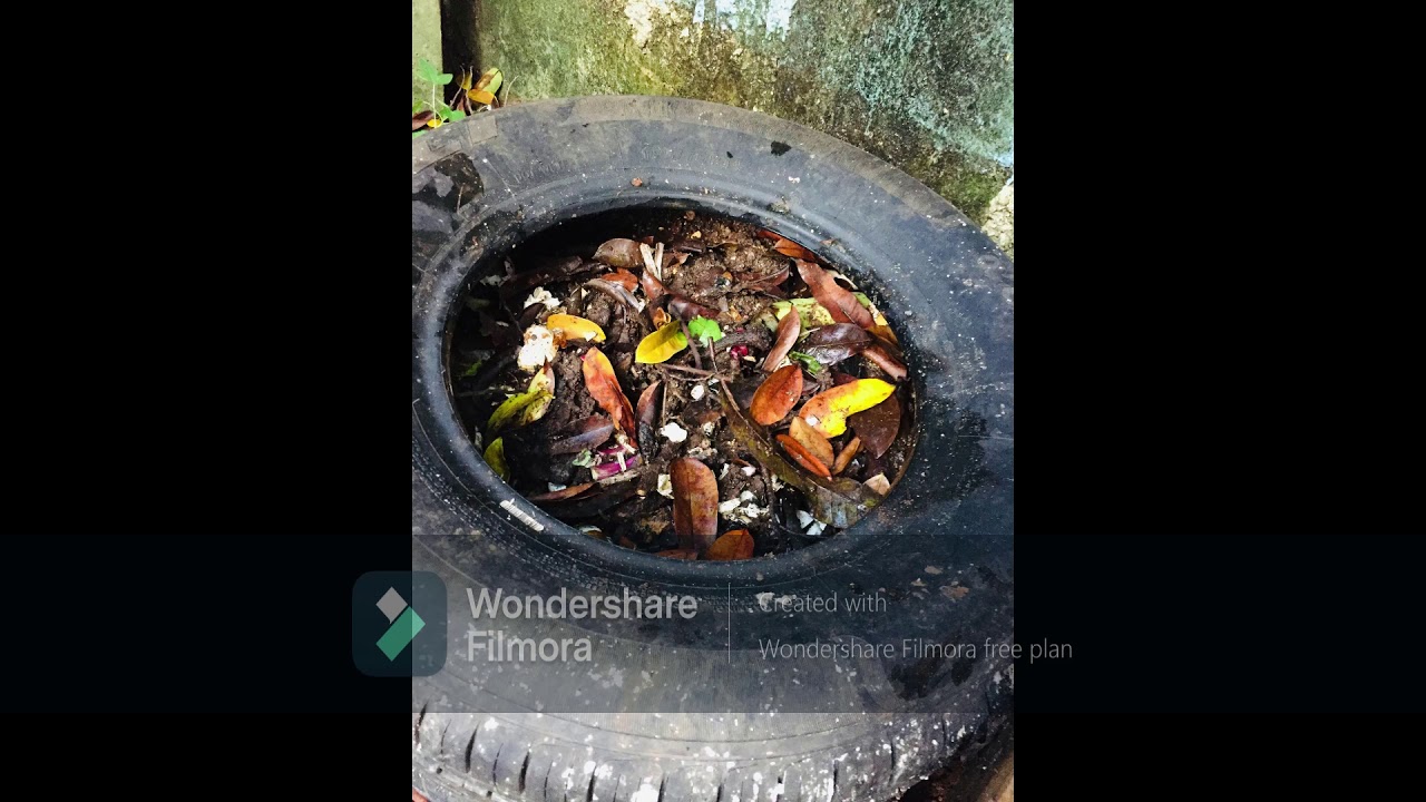 proyecto final huerto perla velasquez - YouTube