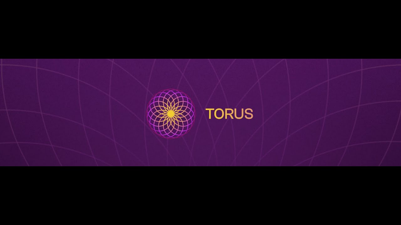 Could TORUS have a Staking Protocol like DRAGONX built on it? - YouTube