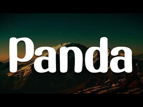 Panda - Desiigner [Lyrics] - YouTube