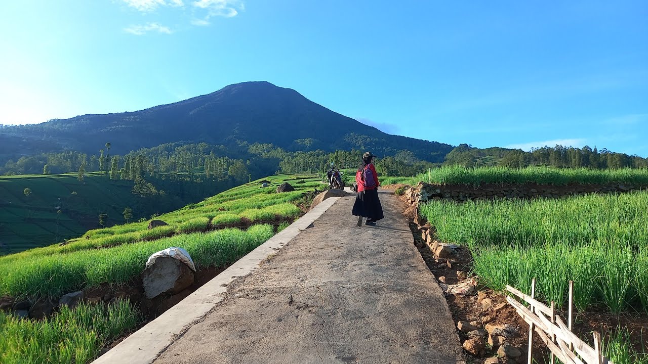 Jalur Pulang dari Kebun Bawang yang viral - Terasering Barugantung ...