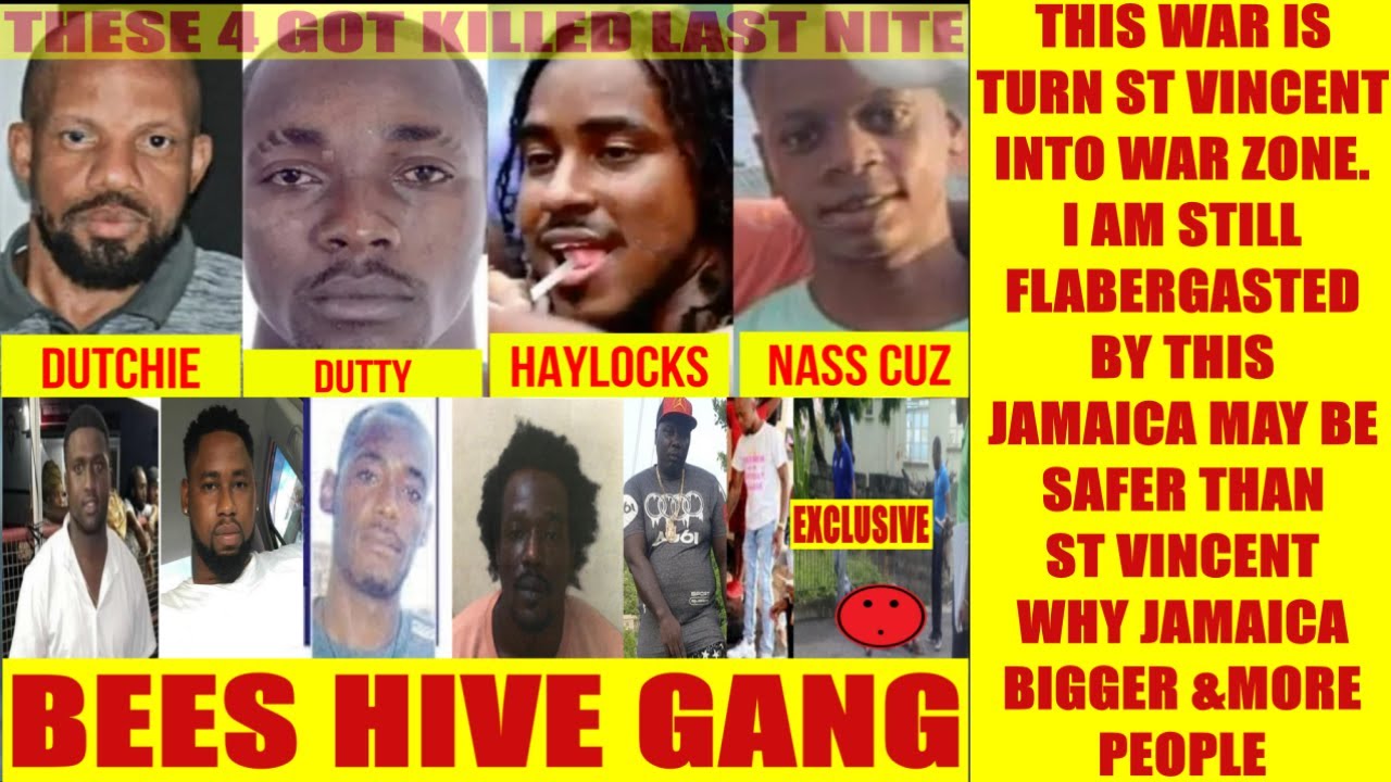 ST VINCENTBAD BEE HIVE GANG 4PEOPLE GET DASH WEY LAST NIGHT BIG WAR ...