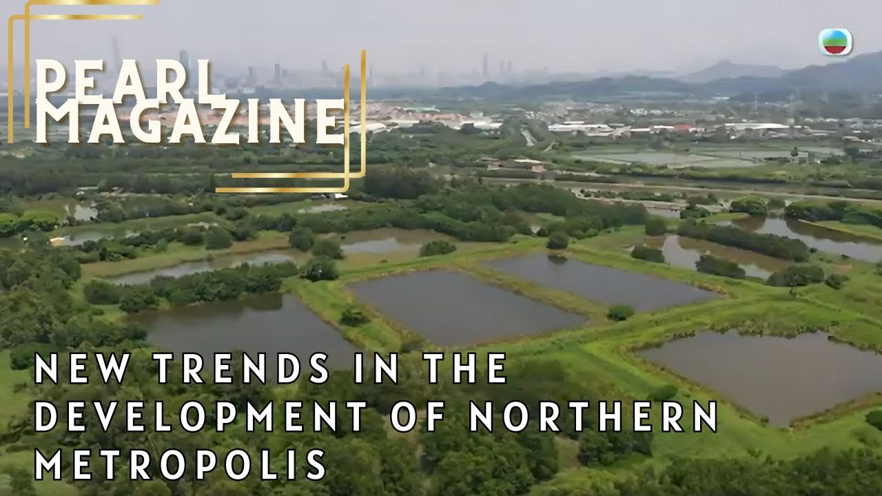 TVB News | Pearl Magazine | Northern Metropolis | 08 Jan 2024 | Hong ...