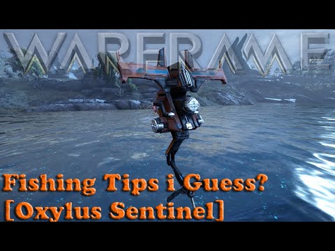 Warframe - Fishing Tips i Guess? [Oxylus Sentinel] - YouTube