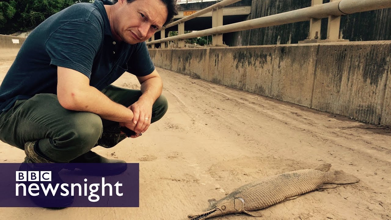 Hurricane Harvey: The aftermath - BBC Newsnight - YouTube