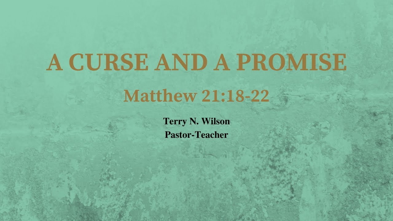 A Curse and A Promise - YouTube