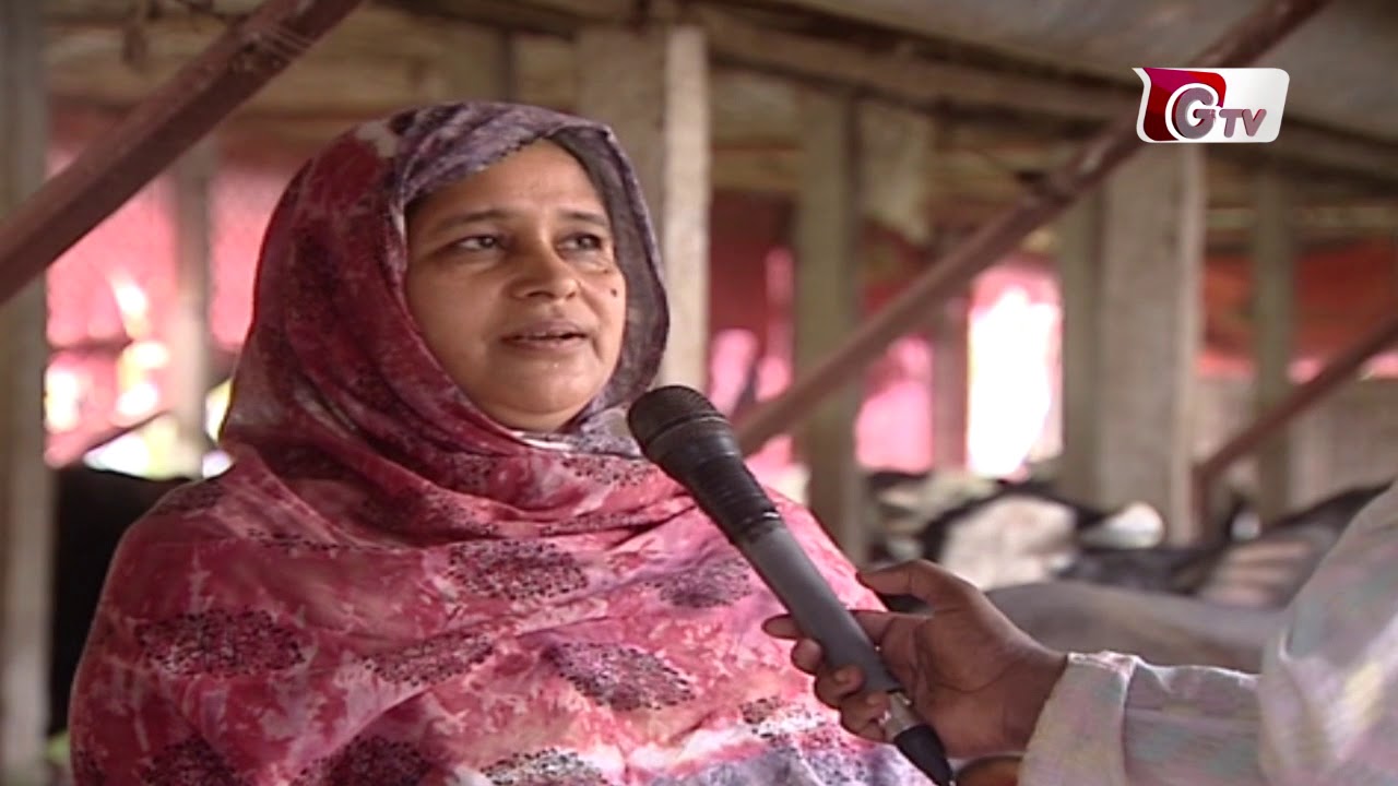 সফল ডেইরি খামারের গল্প | সবুজ বাংলা | Sobuj Bangla - YouTube