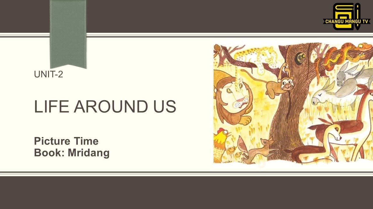 Fun with Picture Time in Class 1 English - Life Around Us (Unit 2 ...