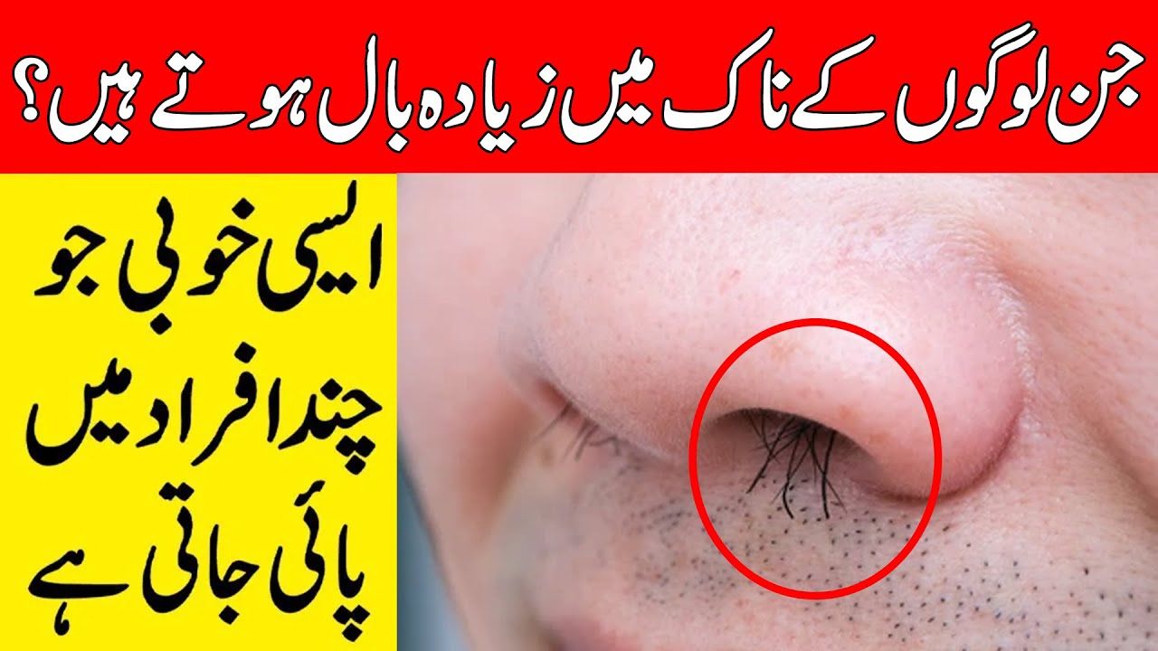 Why Nose Hairs Are More Important Than You Think | Amazing Facts ...