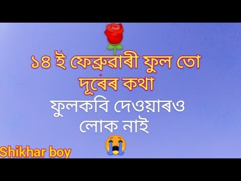 naw 14 February status WhatsApp 😭