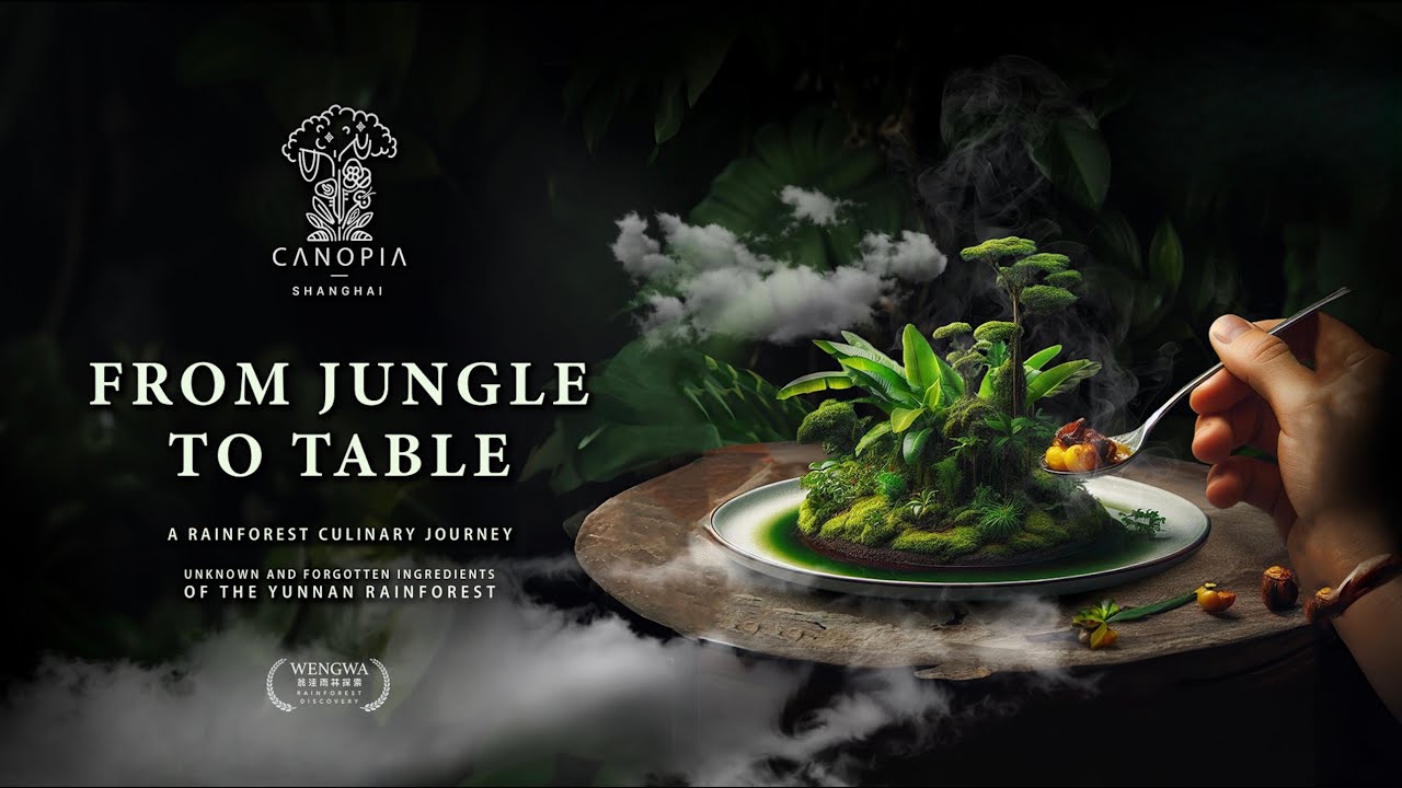 CANOPIA SHANGHAI | The Genesis of an Epicurean Journey Unveiled - YouTube