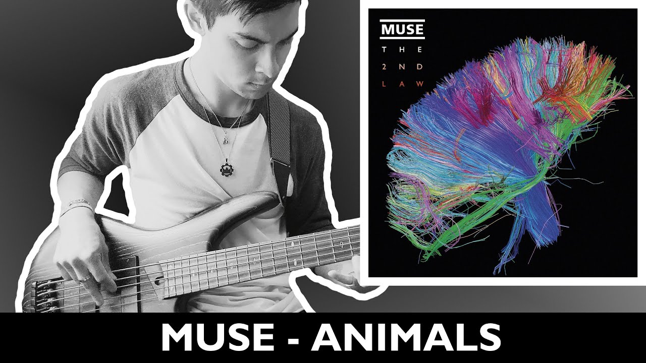 Muse - Animals (Full Bass cover) - YouTube