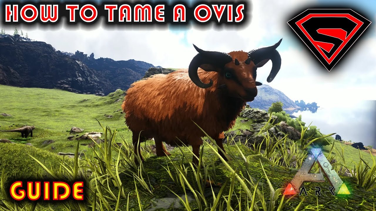 ARK HOW TO TAME A OVIS 2019 - EVERYTHING THAT YOU NEED TO KNOW ABOUT ...