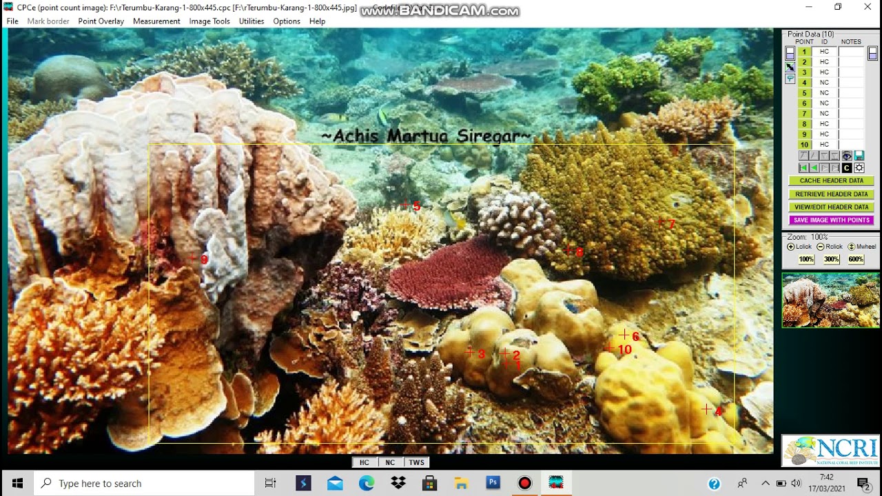 PROSEDUR PENGGUNAAN APLIKASI CPCe(Coral Point Count With Excel ...