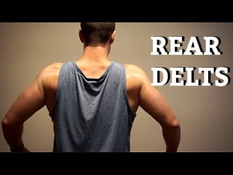 How to Engage Rear Delts | Activation Tutorial - YouTube