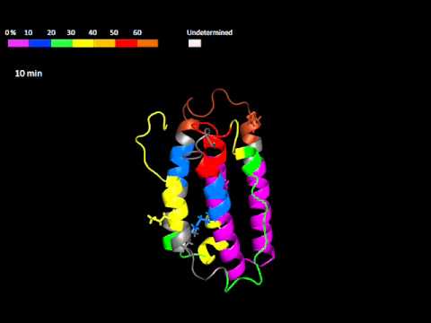 Protein movement and dynamics by Hydrogen Deuterium Exchange Mass ...