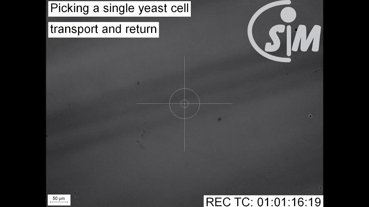 Single Cell Picking and Deposition - YouTube