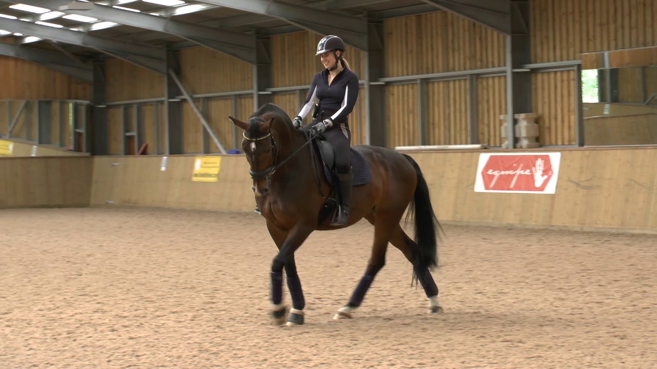 LEG YIELD ROUND A CIRCLE : PART 3 WALK EXERCISES | OTD.TV - YouTube