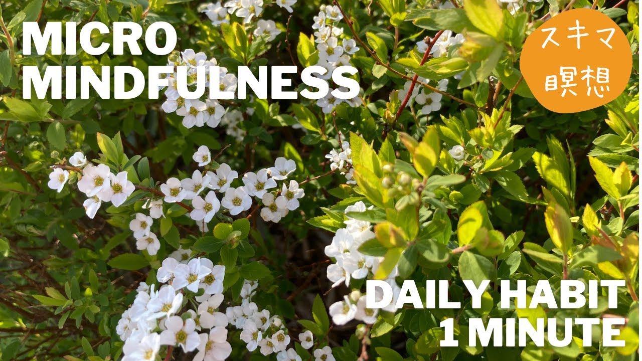 Micro Mediation |1 Minute |Breathing Practice |Mindfulness| anytime ...