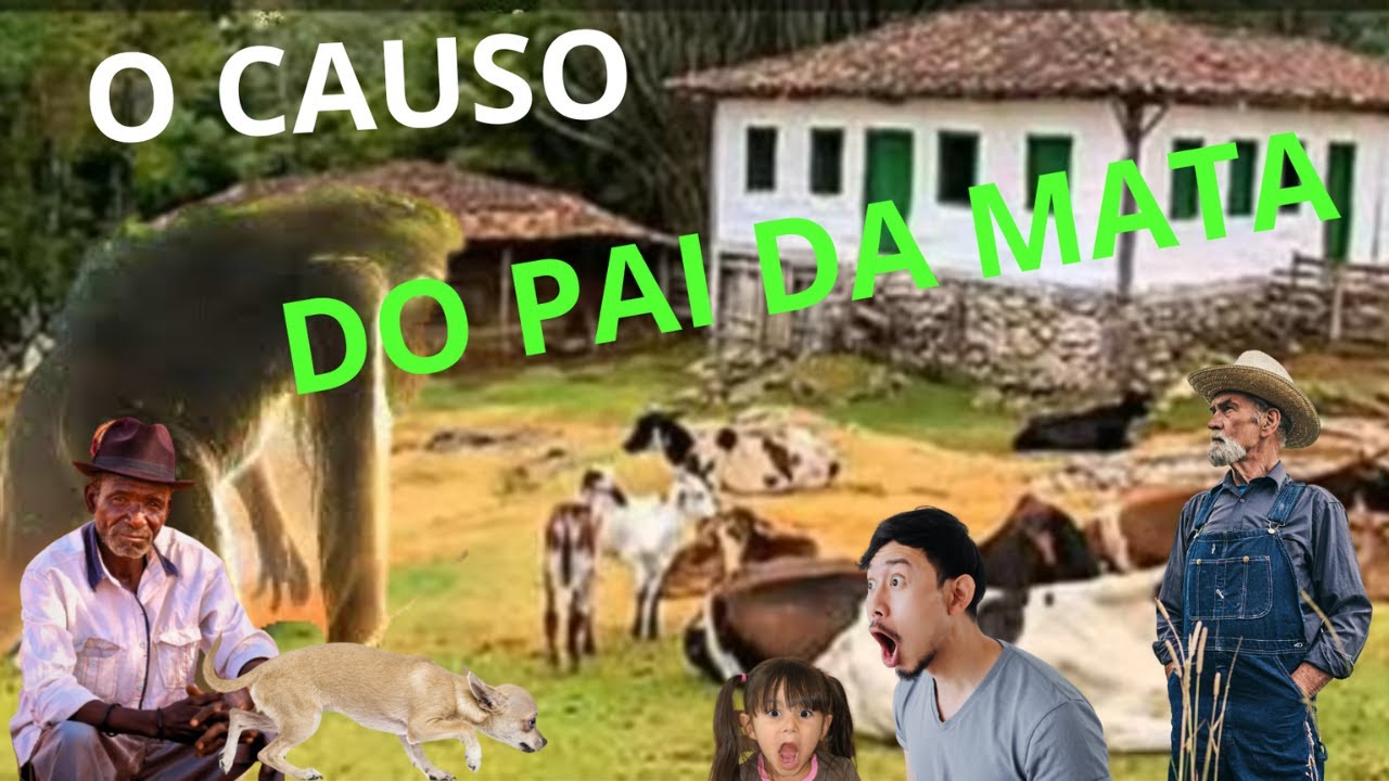 O CAUSO DO PAI DA MATA. - YouTube