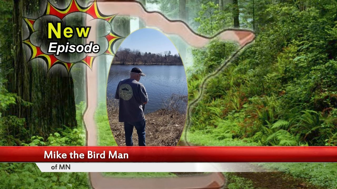 Mike the Bird Man of MN: Spring Migration at Como Lake in St. Paul MN ...