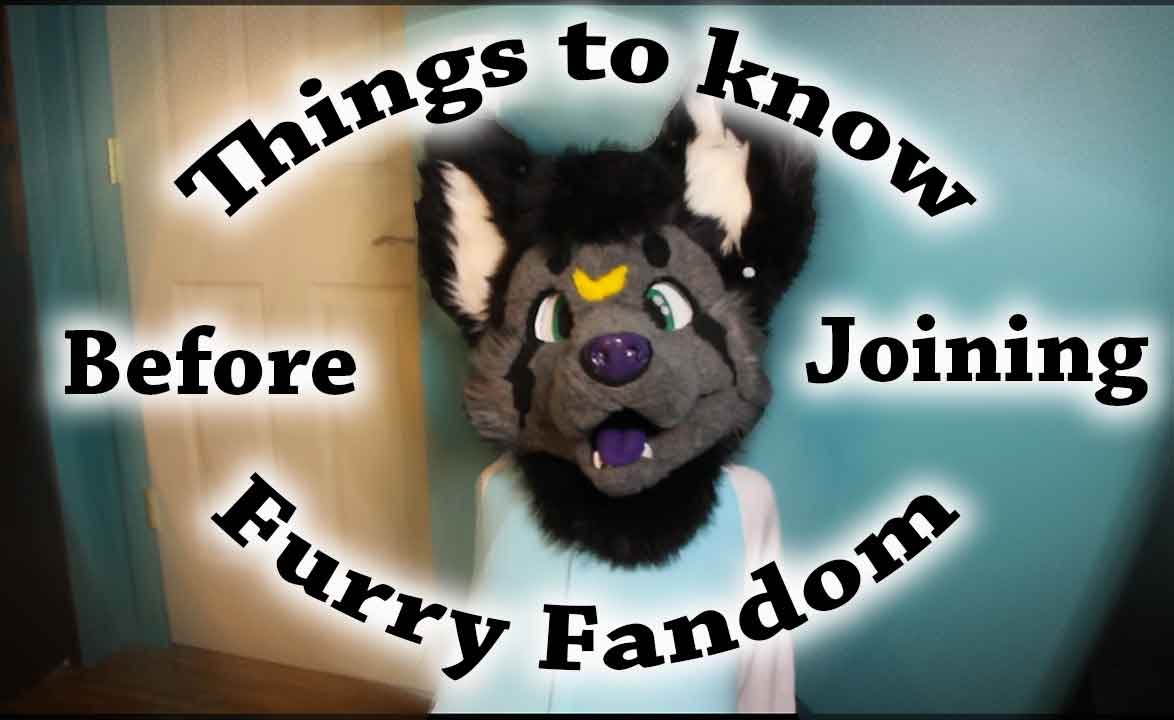 Things You Should Know Before Joining The Furry Fandom YouTube things-you-should-know-before-joining-the-furry-fandom-youtube