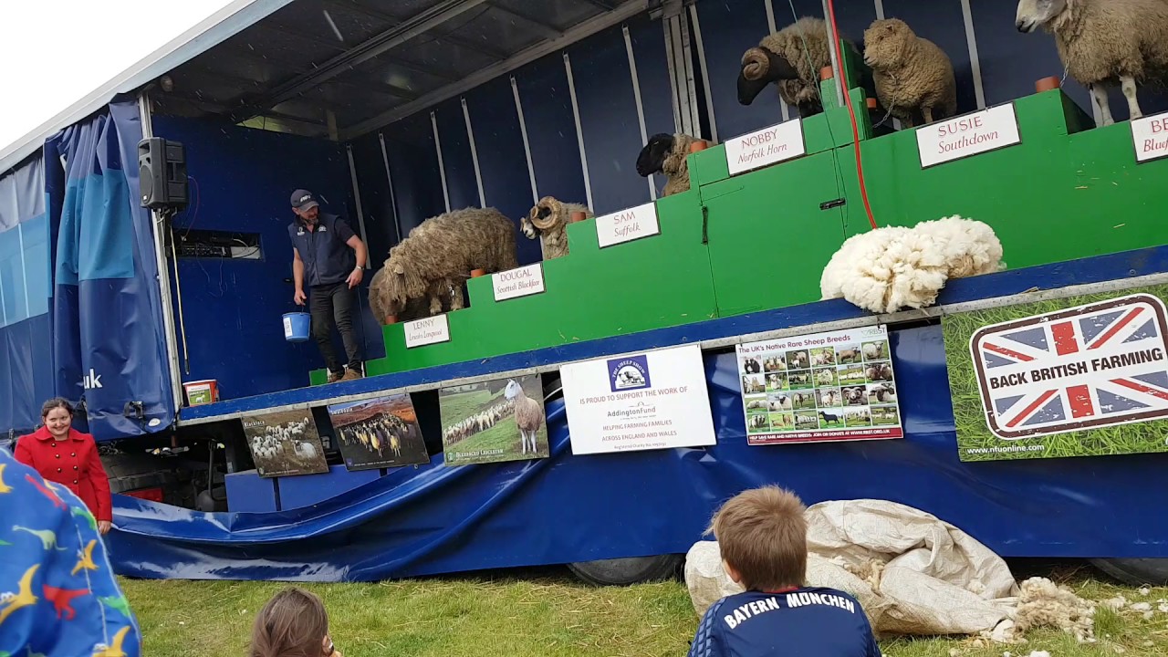 Dancing Sheep Otley Show 2017 - YouTube