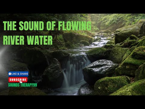 THE SOUND OF FLOWING RIVER WATER (@SOUNDSTHERAPY99) - YouTube